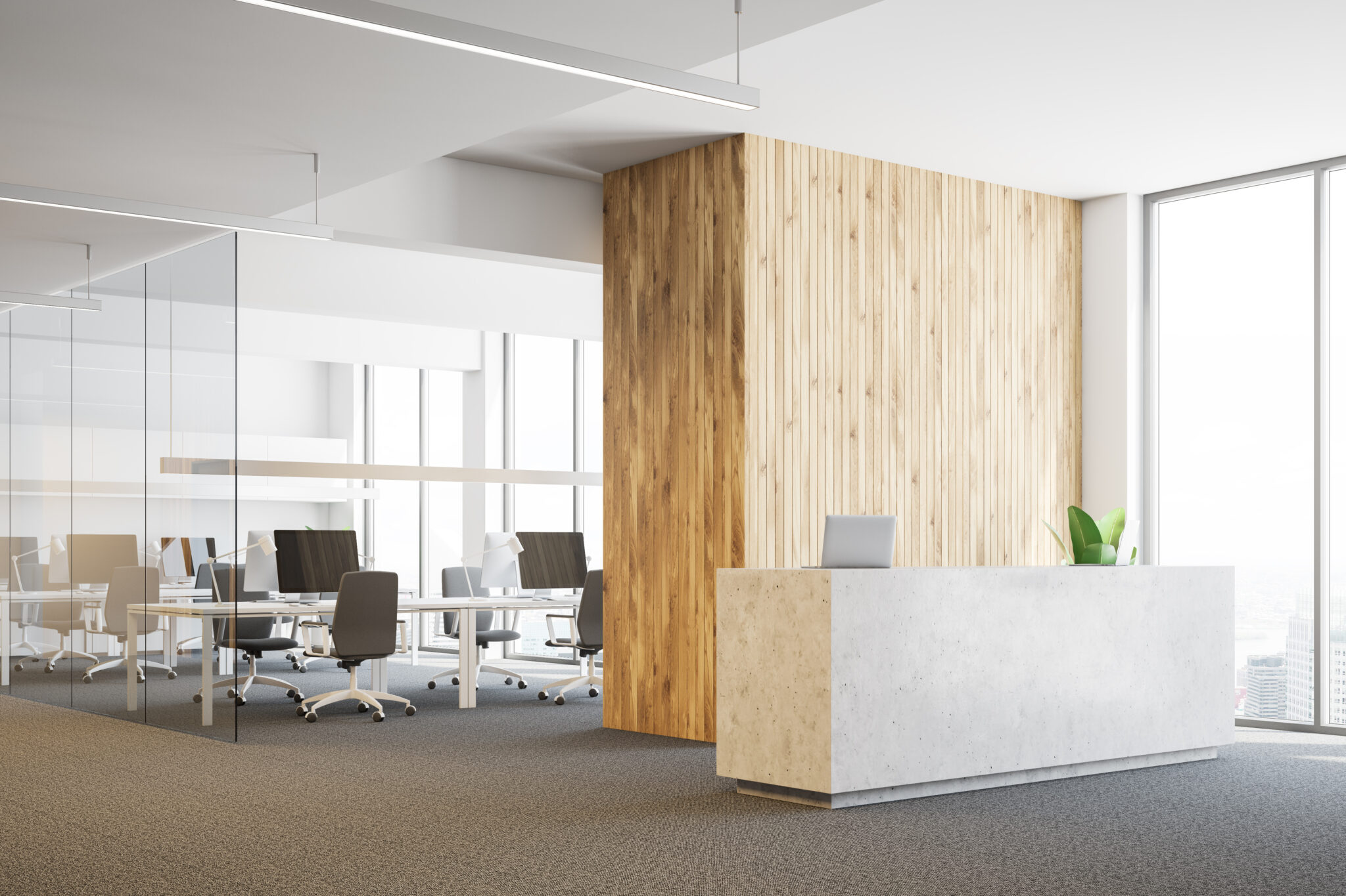 Office Carpet - carpetworkz.com